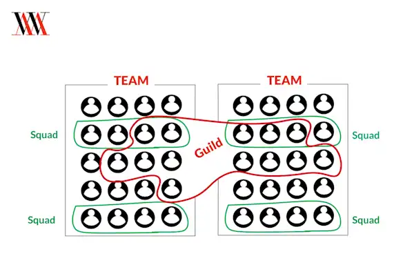 What Matters: What Are the Four Types of Business Organizational ...