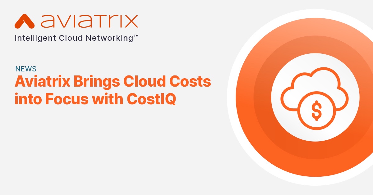Introducing CostIQ: Accurate Allocations for Shared Cloud Network Services | Aviatrix
