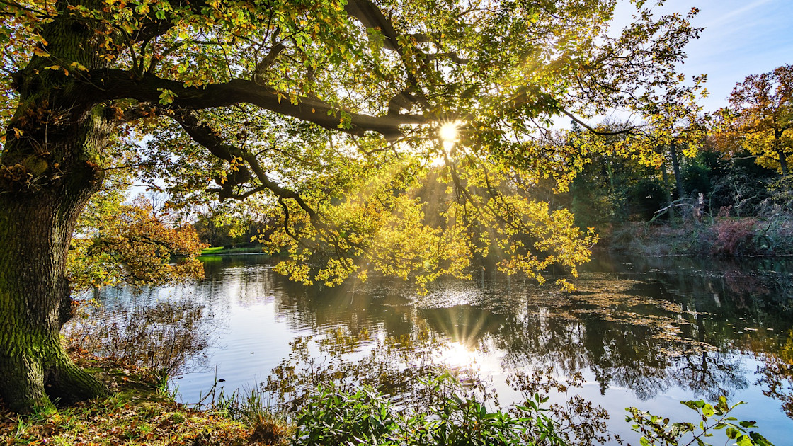 Zonnig weekend in het verschiet voordat de herfst écht aanbreekt | Hart ...