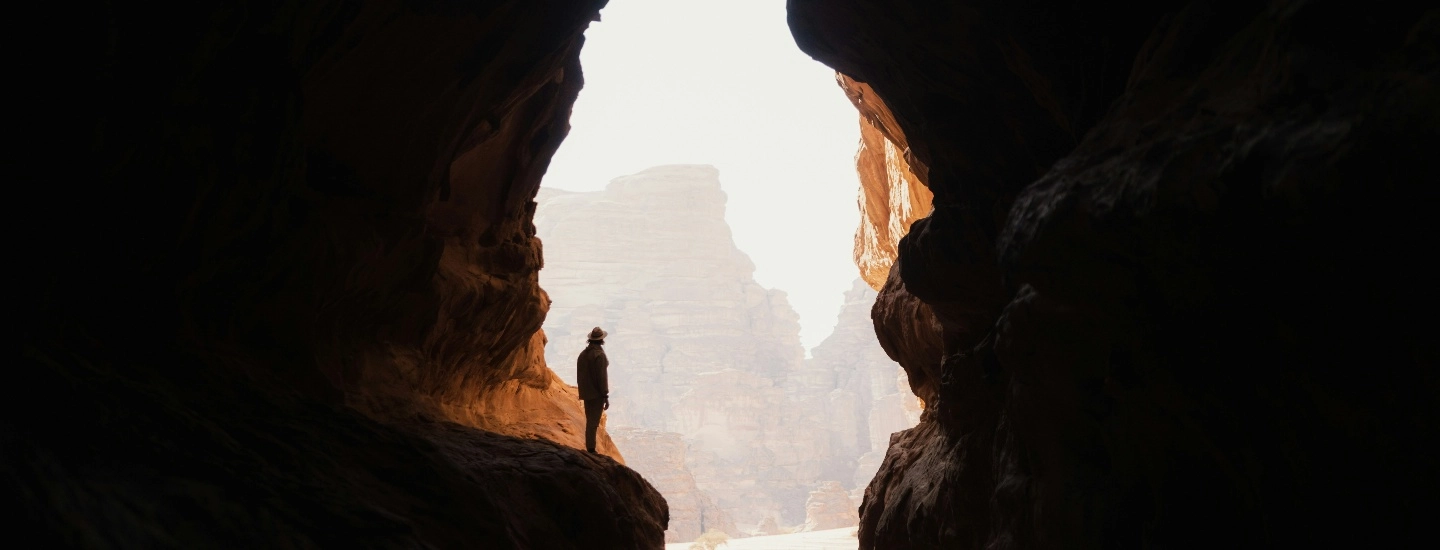 Strategic Guide for Emerging Leaders on Low End Disruption