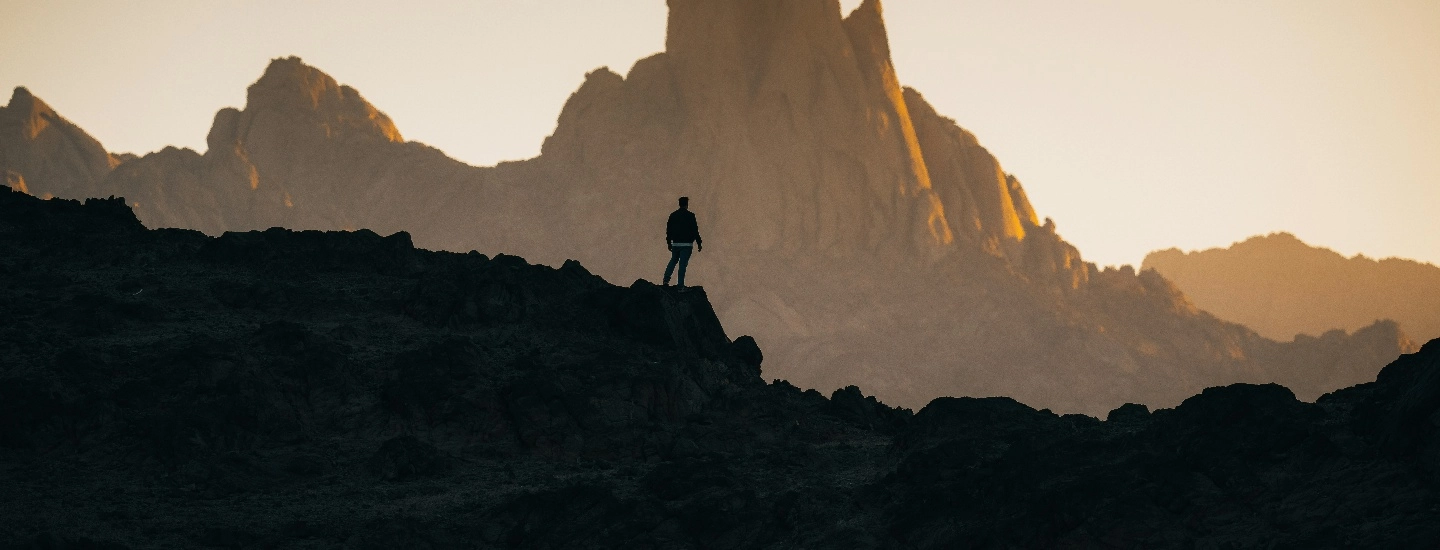 Heifetz's Adaptive Leadership for Change