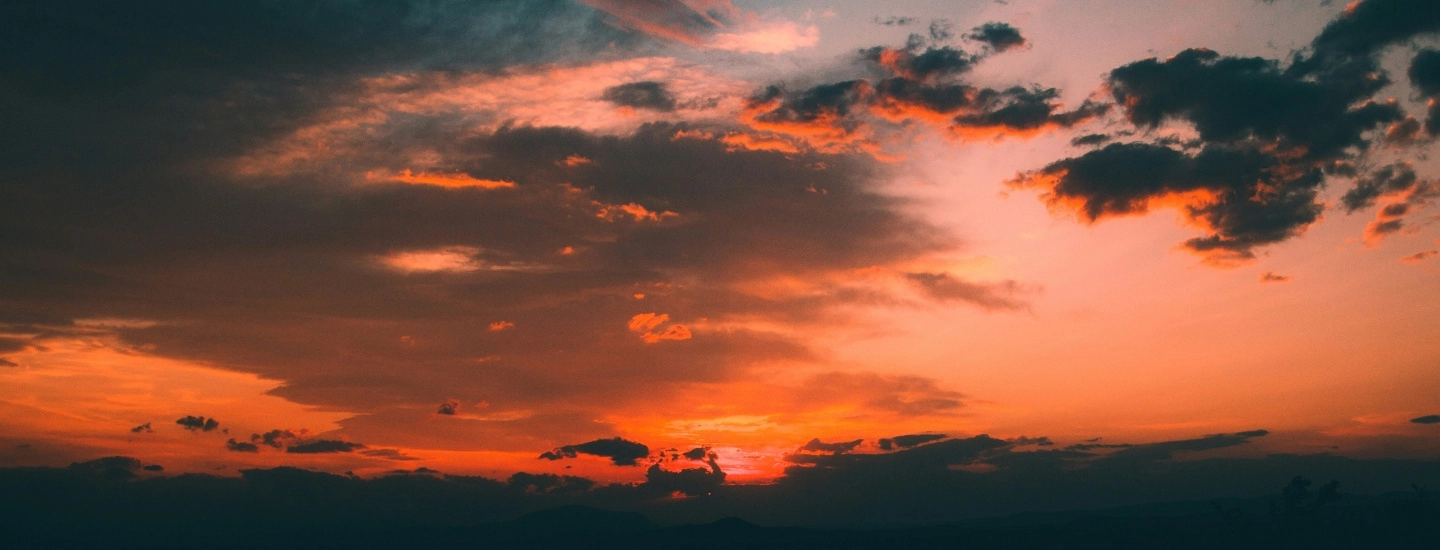 Agile Leadership Embracing Flexibility