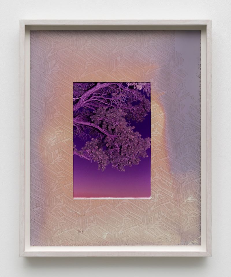 Chapter NY | Antonia Kuo