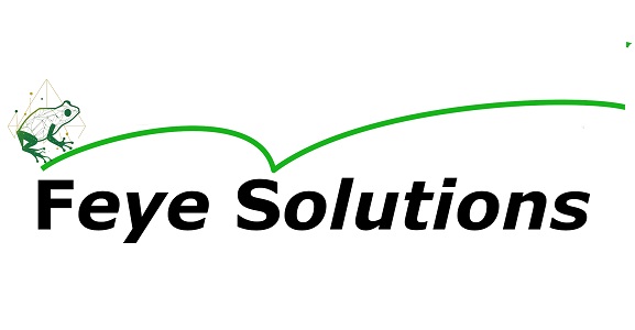 Feye Solutions | DigitalWallonia.be