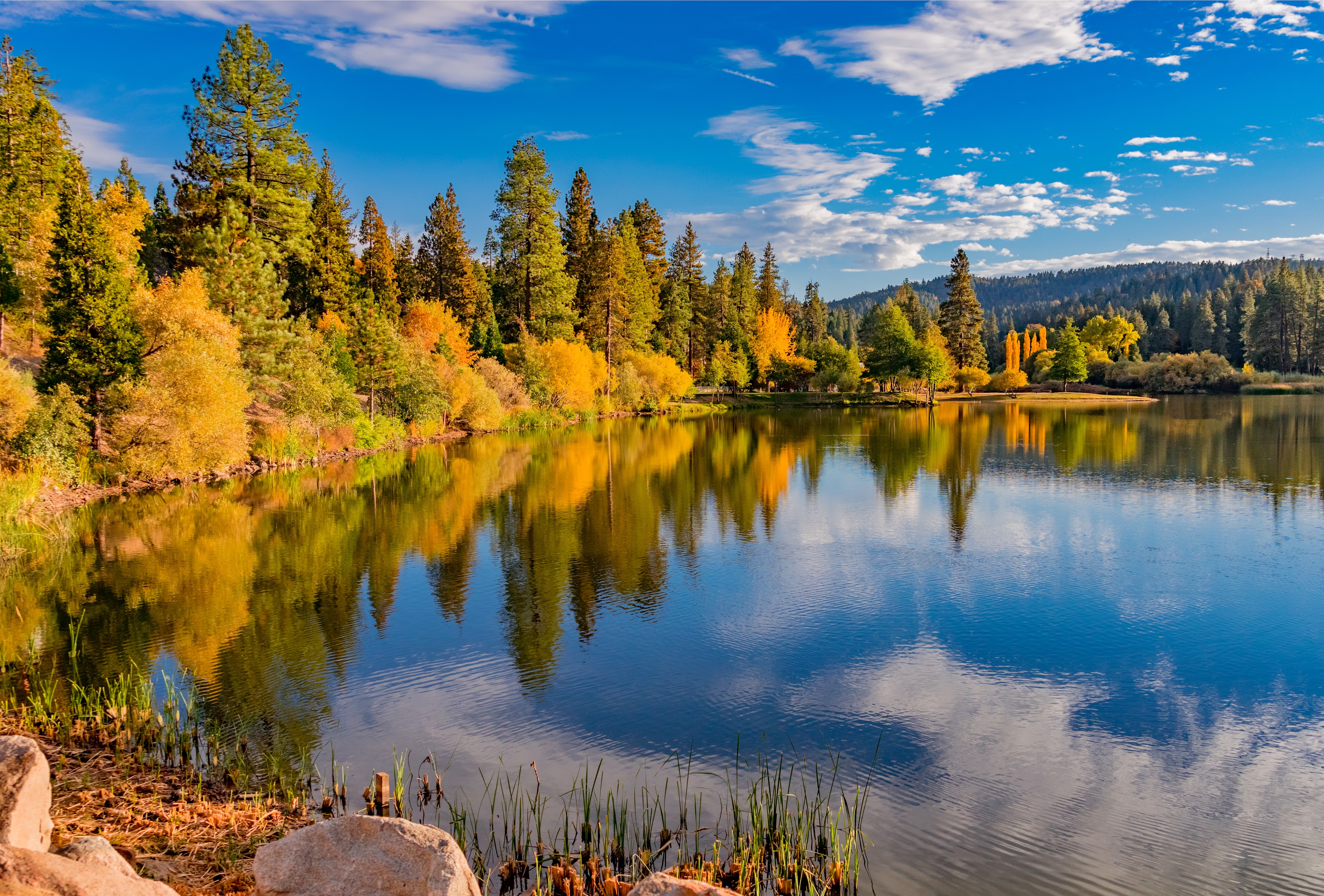 22 Places to Enjoy Fall in California | Pacaso | Pacaso