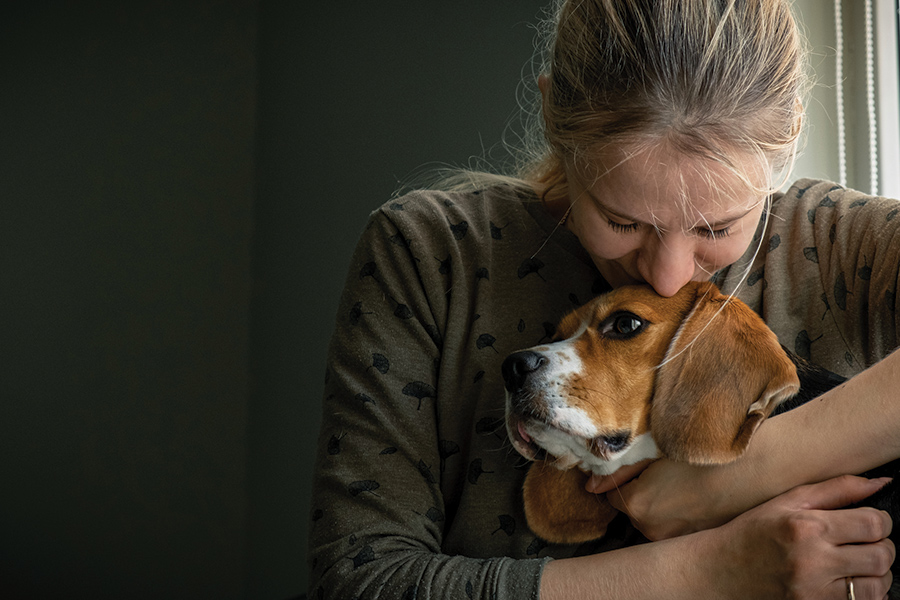 Leaving Your Dog Home Alone