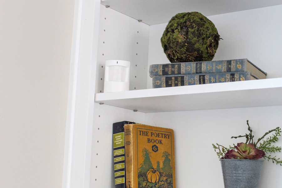 What is a Curtain Motion Detector?