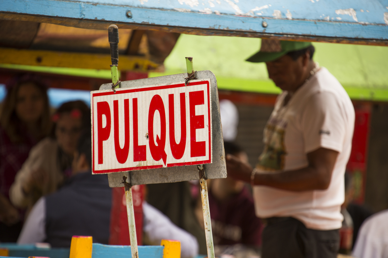 Pulque, la bebida de los dioses | DiDi Food México