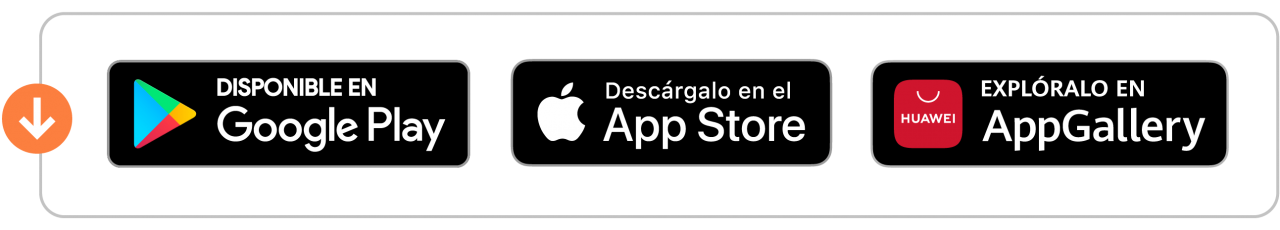 DiDi Global: More than a Journey | DiDi Costa Rica