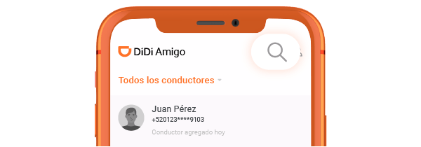 ¿Cómo funciona la plataforma? | DiDi México