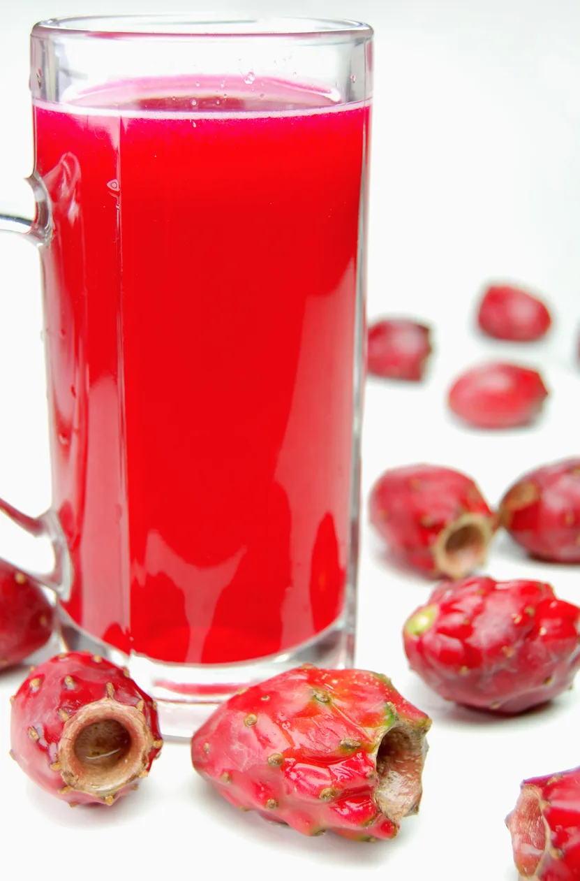 Colonche, refrescante bebida tradicional