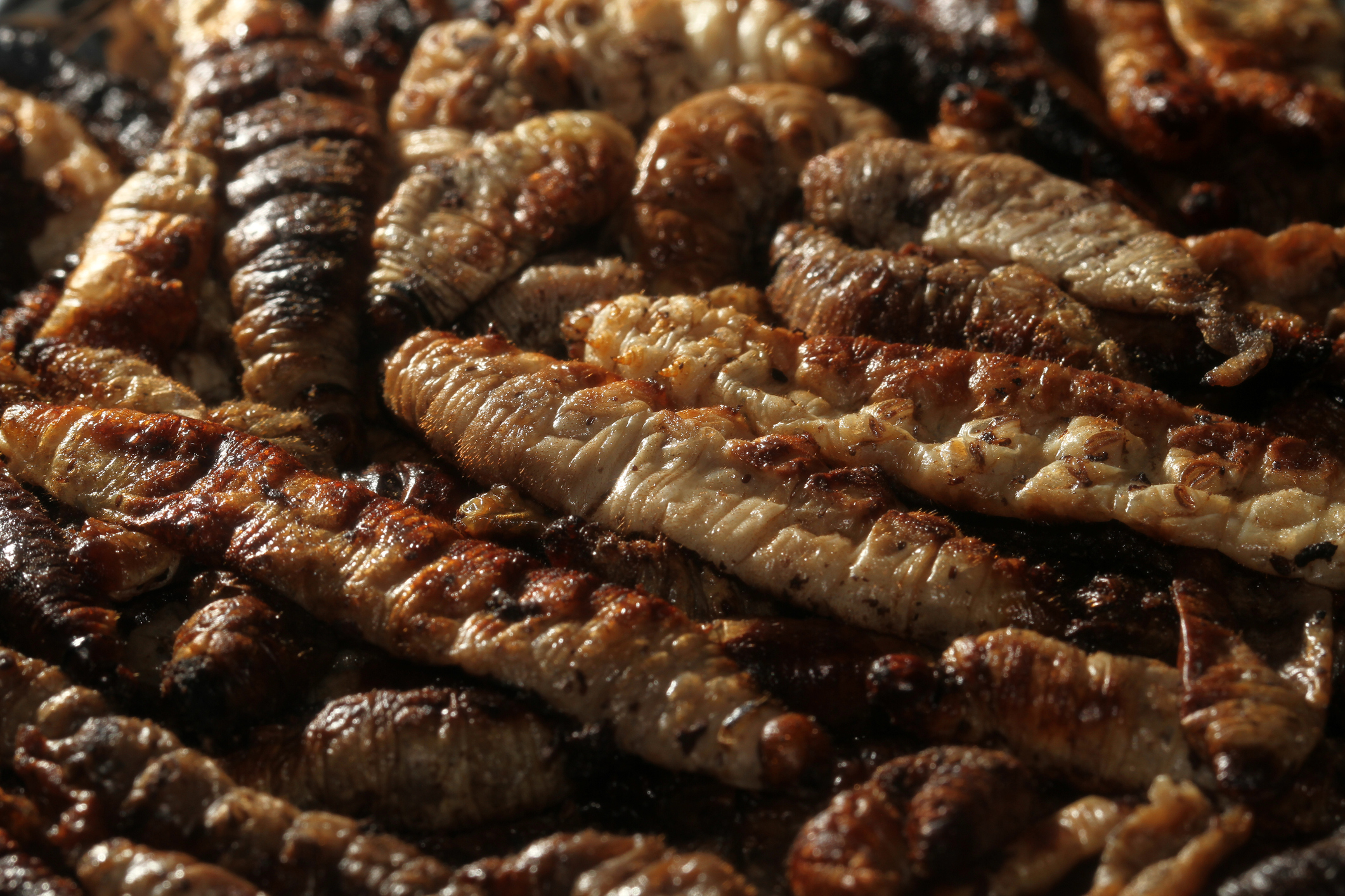 Gusanos comestibles: la herencia más rica | DiDi Food México