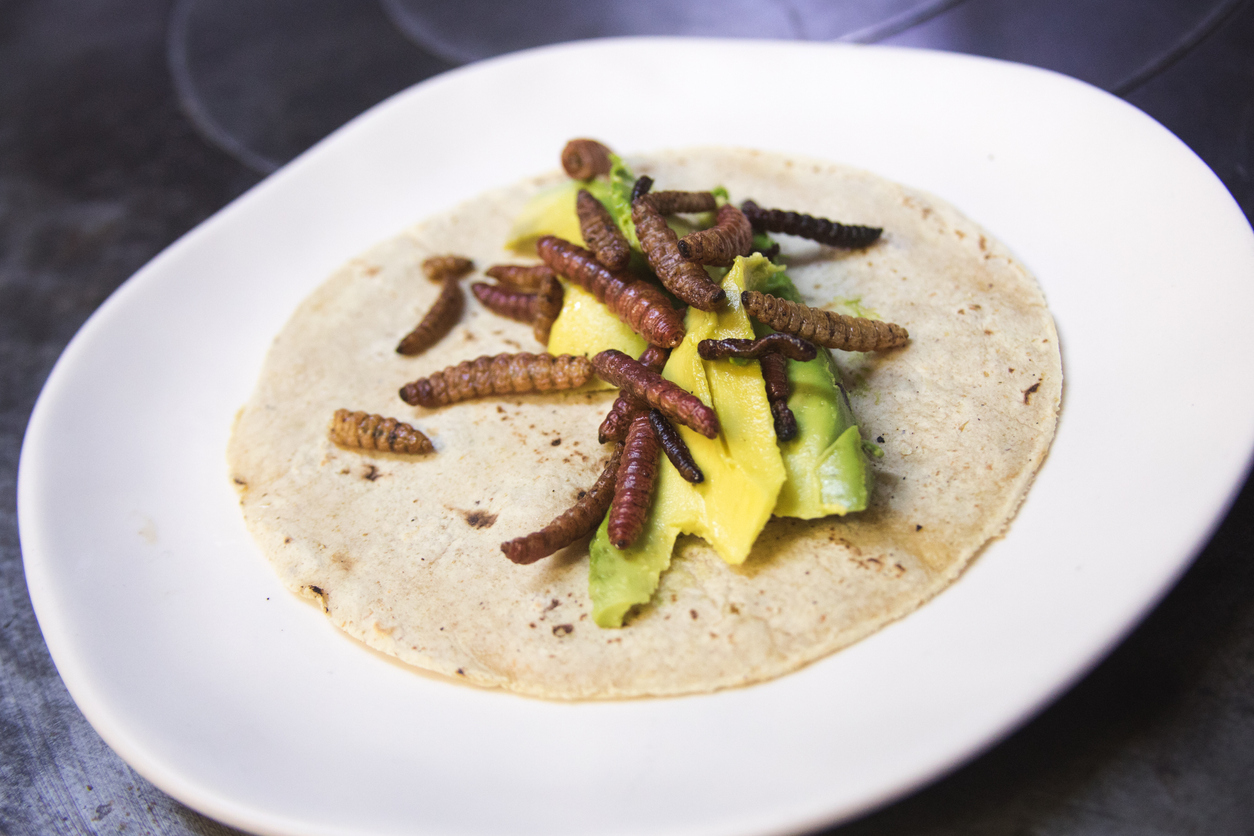 Gusanos comestibles: la herencia más rica | DiDi Food México
