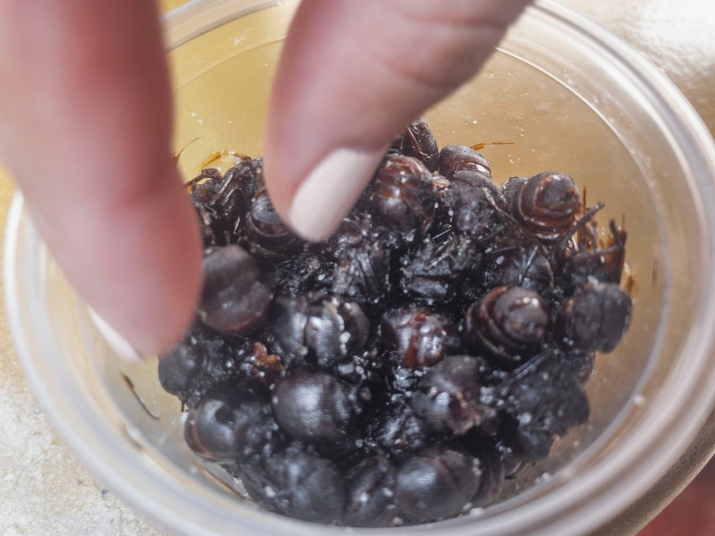 Comida Oaxaqueña: Toda la comida típica de Oaxaca | DiDi Food México ...