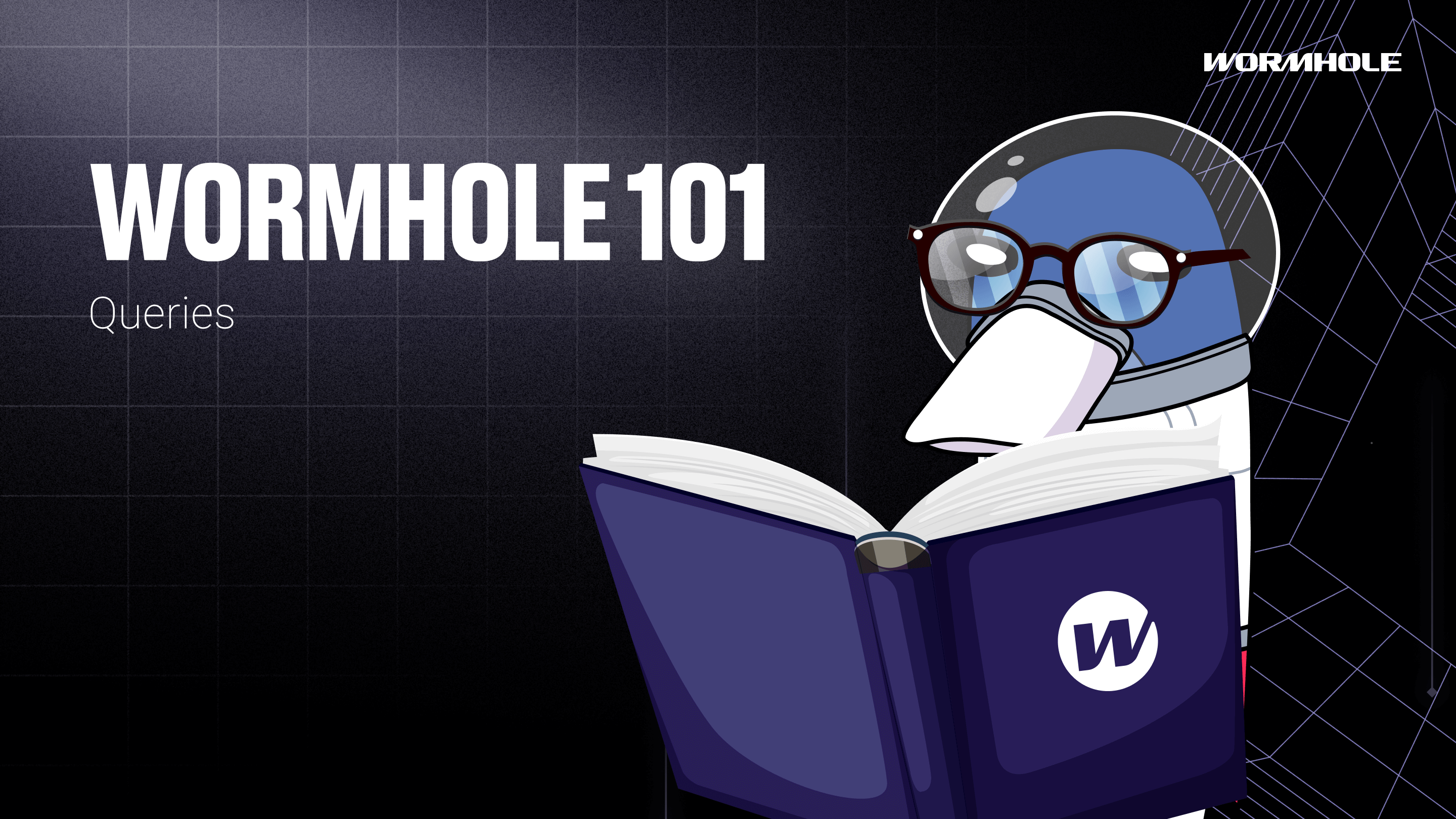 Wormhole 101: Queries