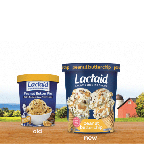 LACTAID® Peanut Butter Chip Lactose Free Ice Cream | LACTAID®