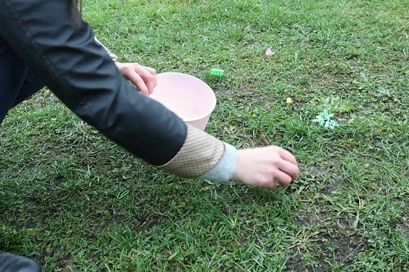Fun science & arts experiment about camouflage, predators & more