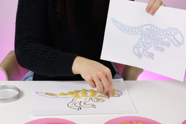 Fun science & mathematics experiment about skeletons, bones & more