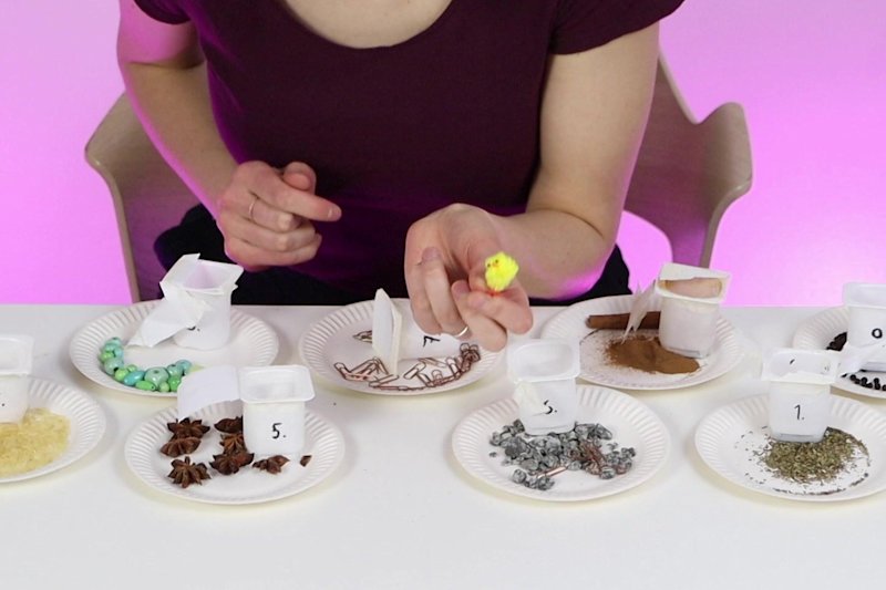 Fun science & sel activity about senses, sound & more