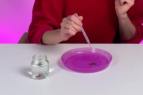 Fun science & mathematics experiment about surface tension & more