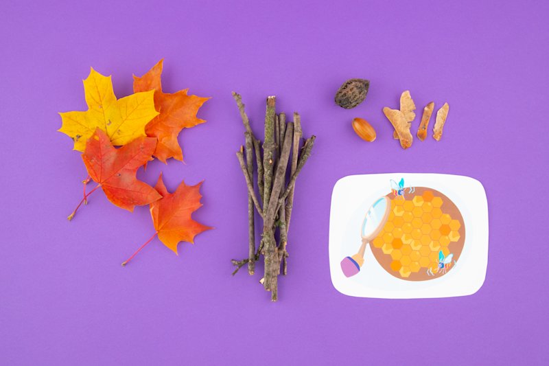 Fun mathematics & engineering experiment about bees, flowers & more