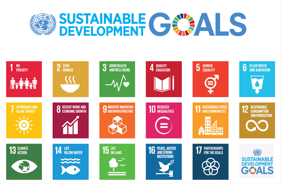 Sustainable development goals explained