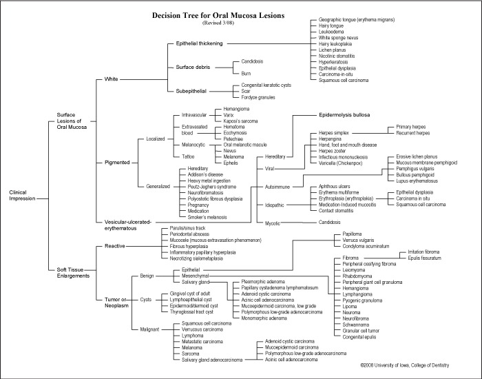 Part I: Introduction to Clinical Differential Diagnosis | ce110 ...
