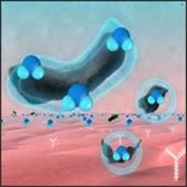 Crest's Patented Stannous Fluoride Forumula Overview