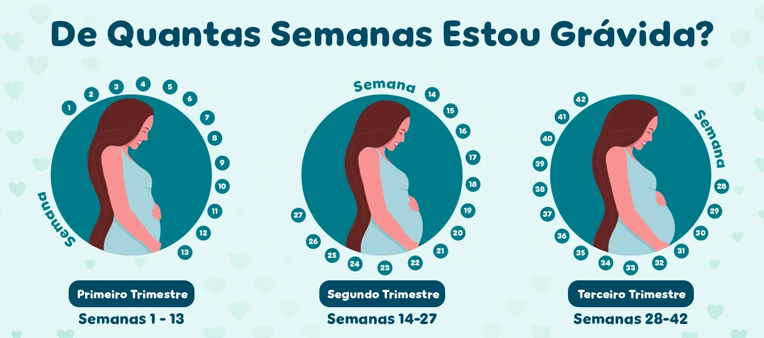1ª, 2ª e 3ª semana de gravidez| Pampers® Brasil