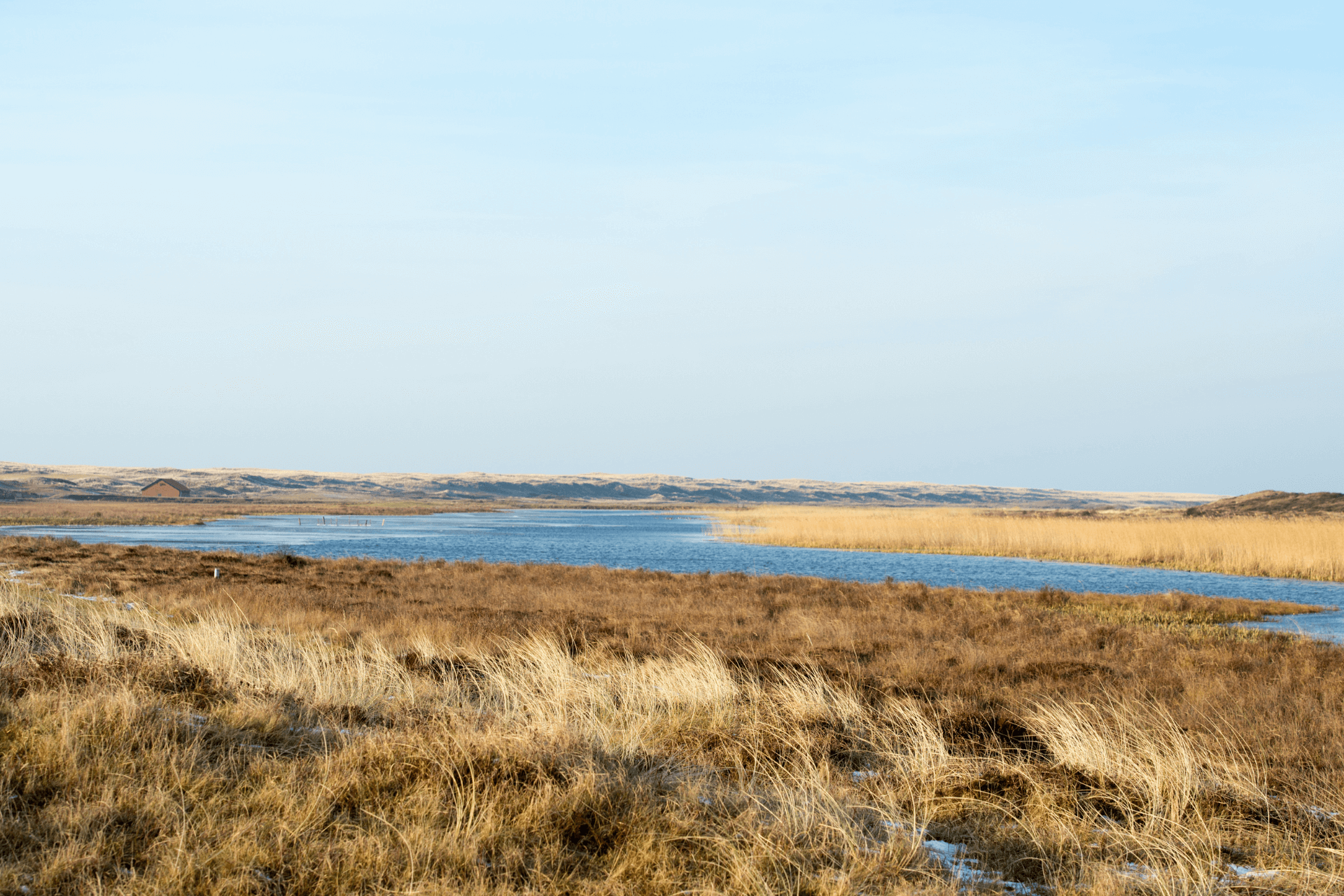 The 5 most beautiful national parks in the Netherlands | EuroParcs