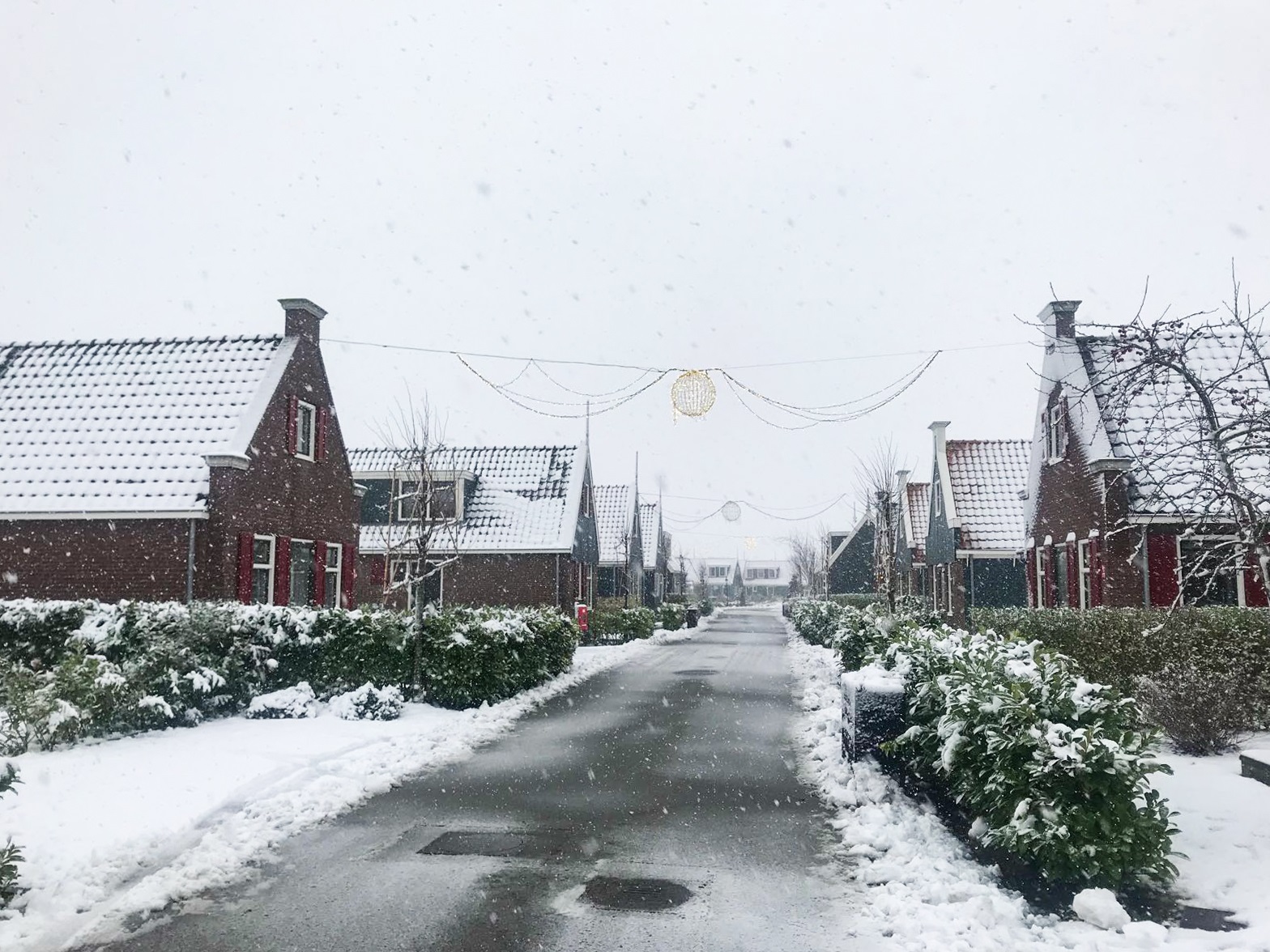 Weihnachtsurlaub 2024 im Ferienpark | EuroParcs