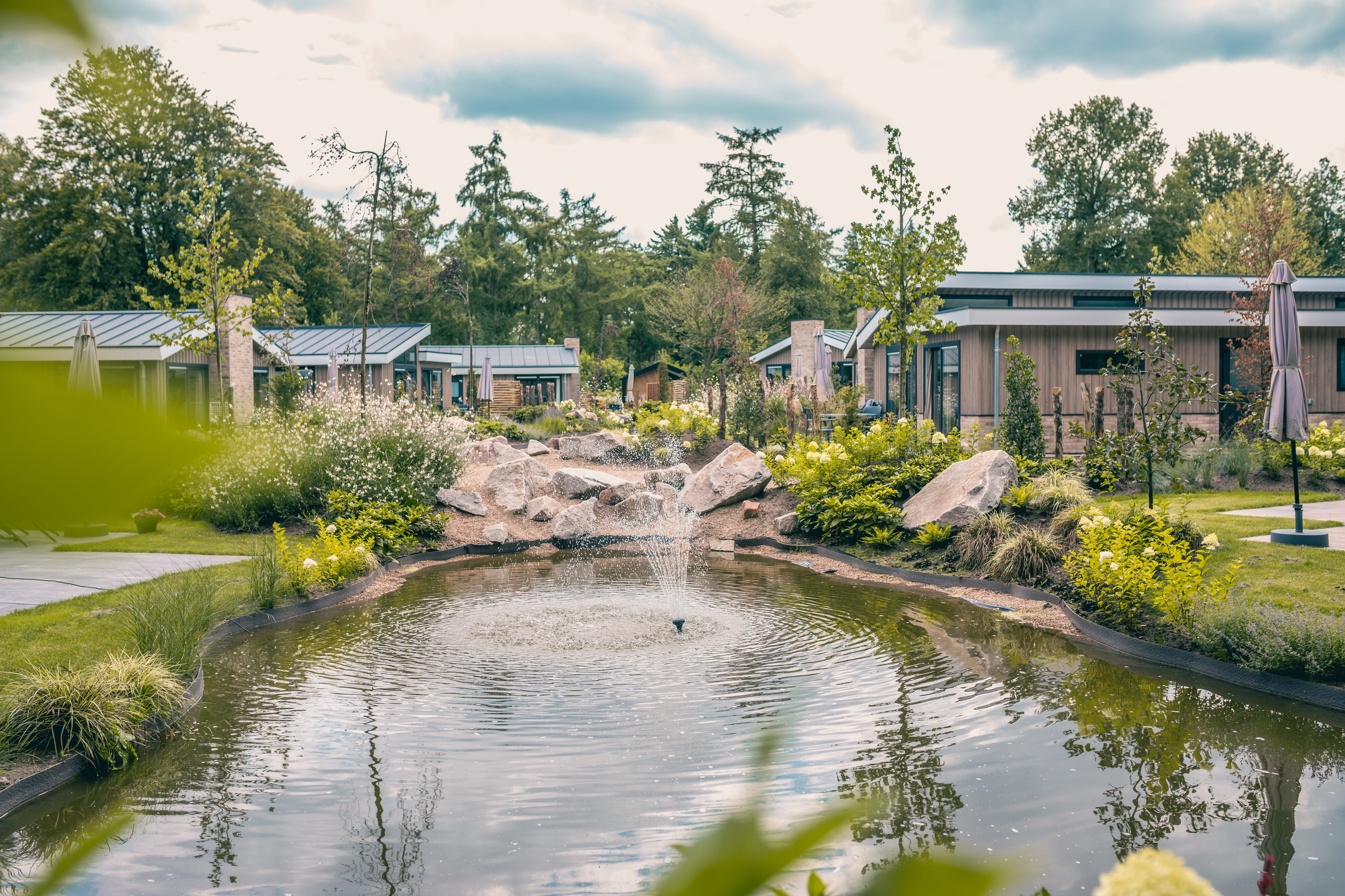 Holiday in nature | Forest vibes | EuroParcs