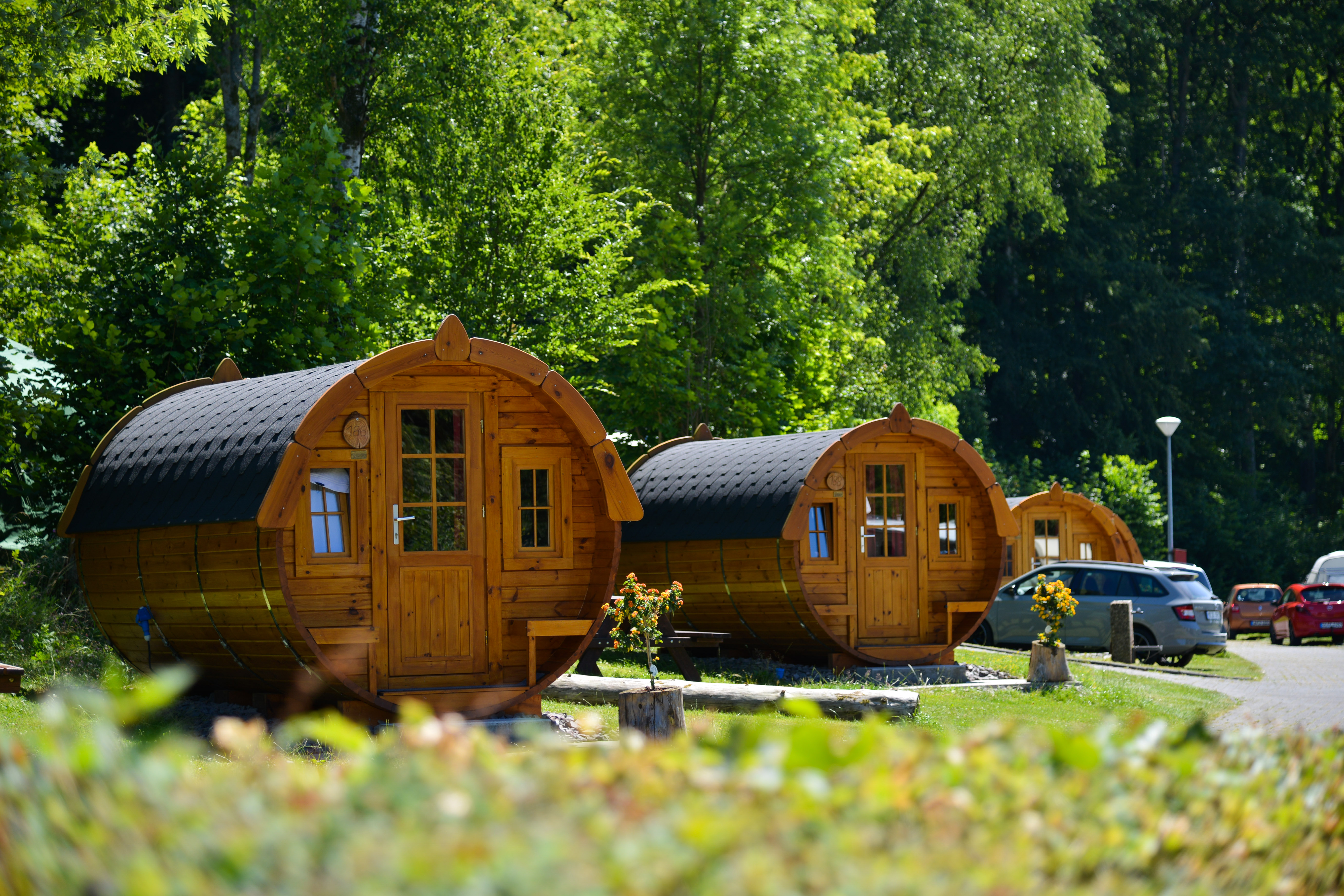 Holiday parks in Germany | EuroParcs