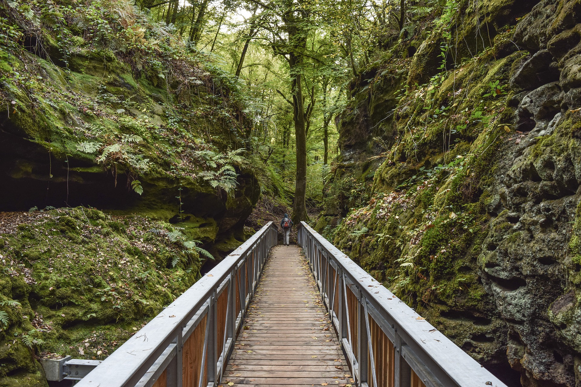 Holiday parks Luxembourg | EuroParcs
