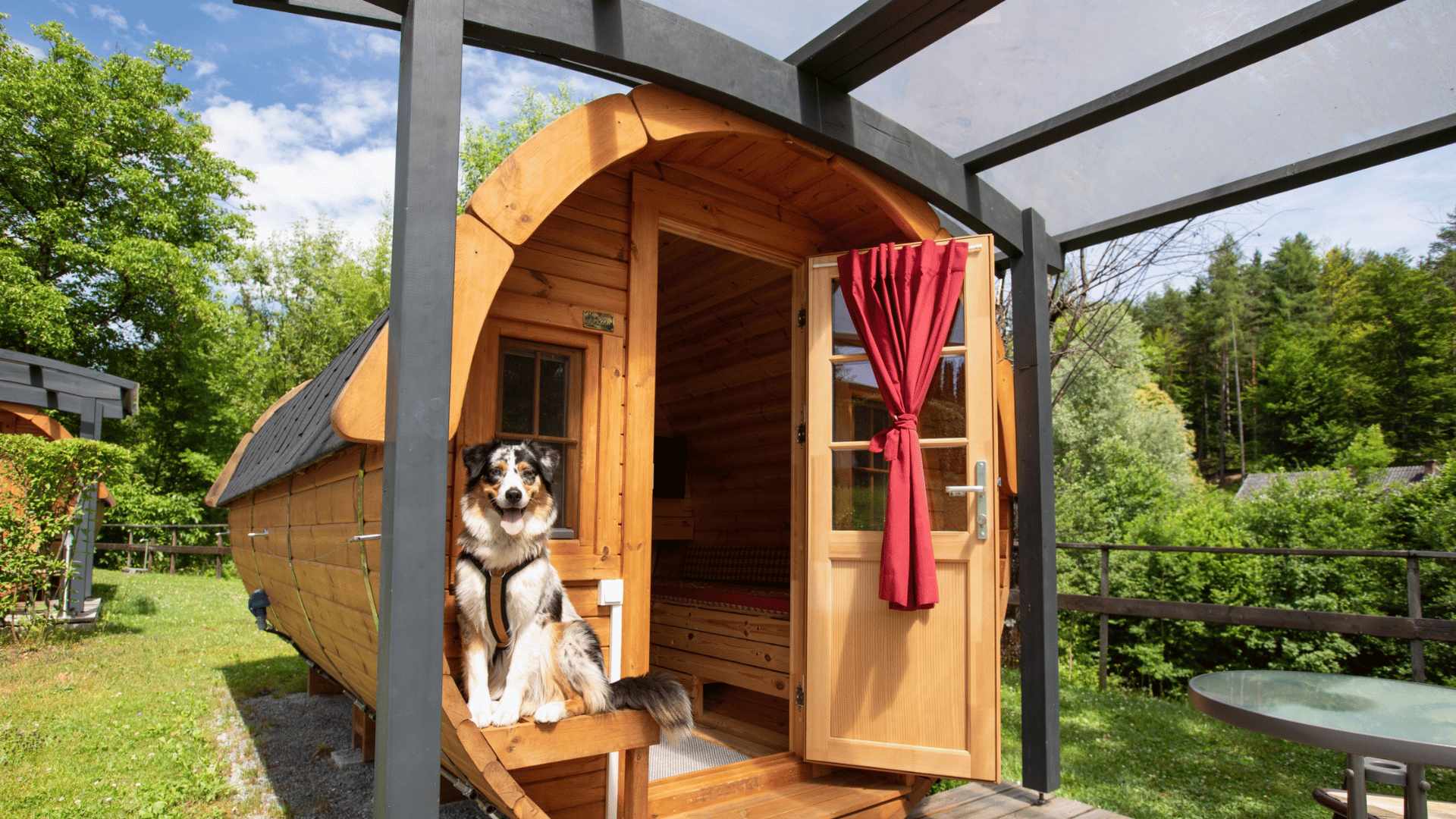 Urlaub im Ferienpark mit Hund | EuroParcs