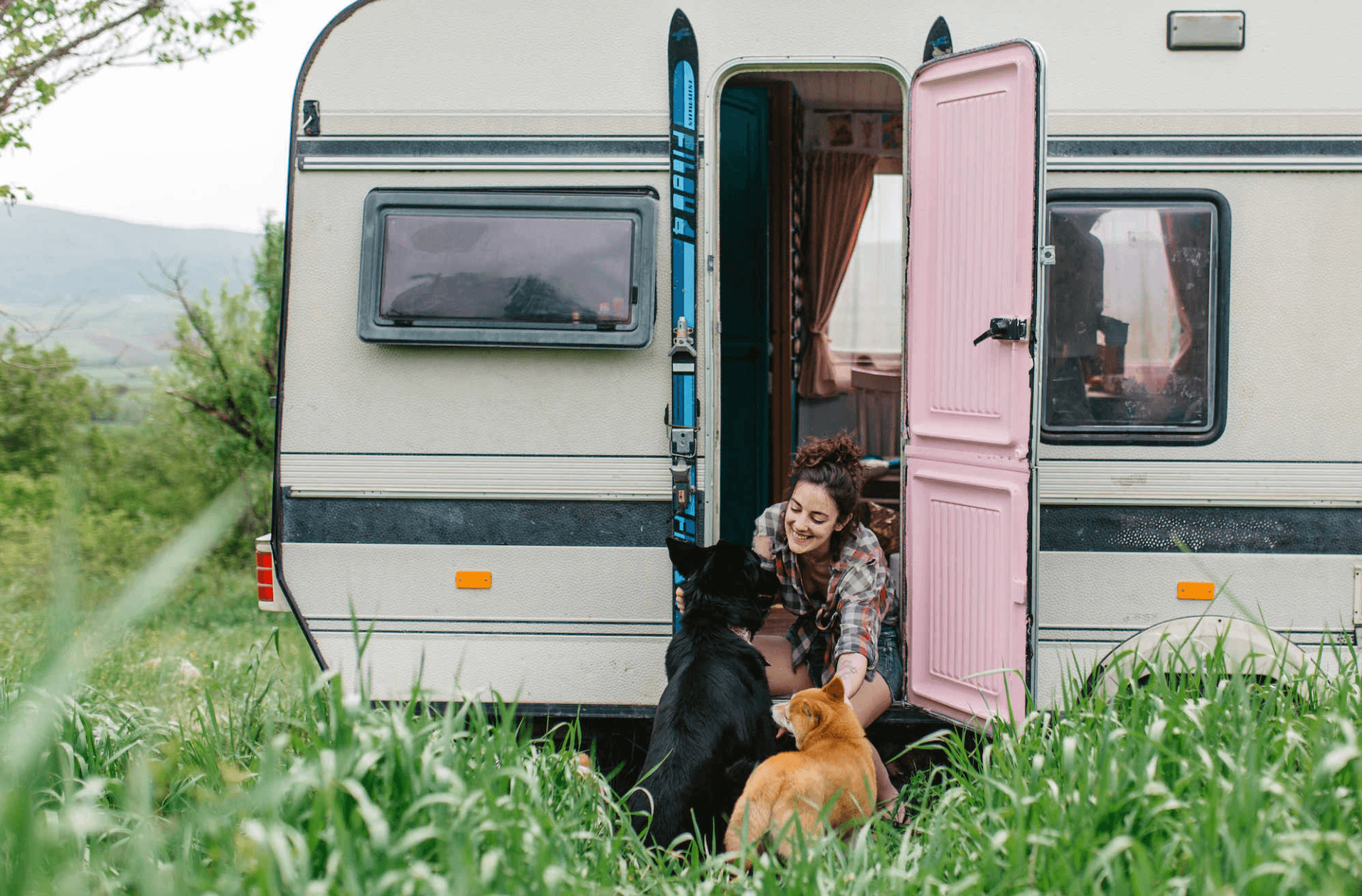 Camping with dog | EuroParcs