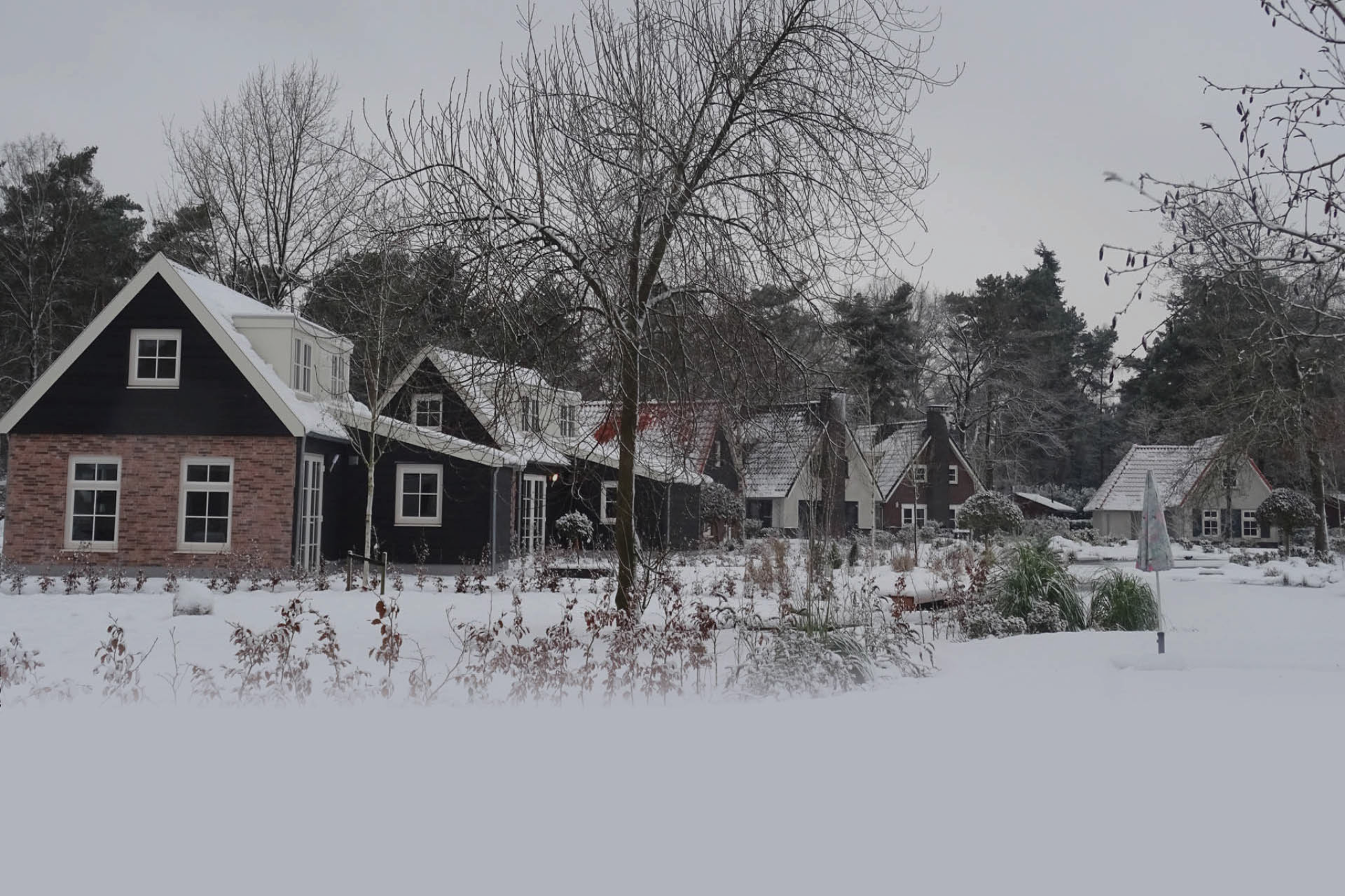 Schlittschuhlaufen | Eislaufen | EuroParcs