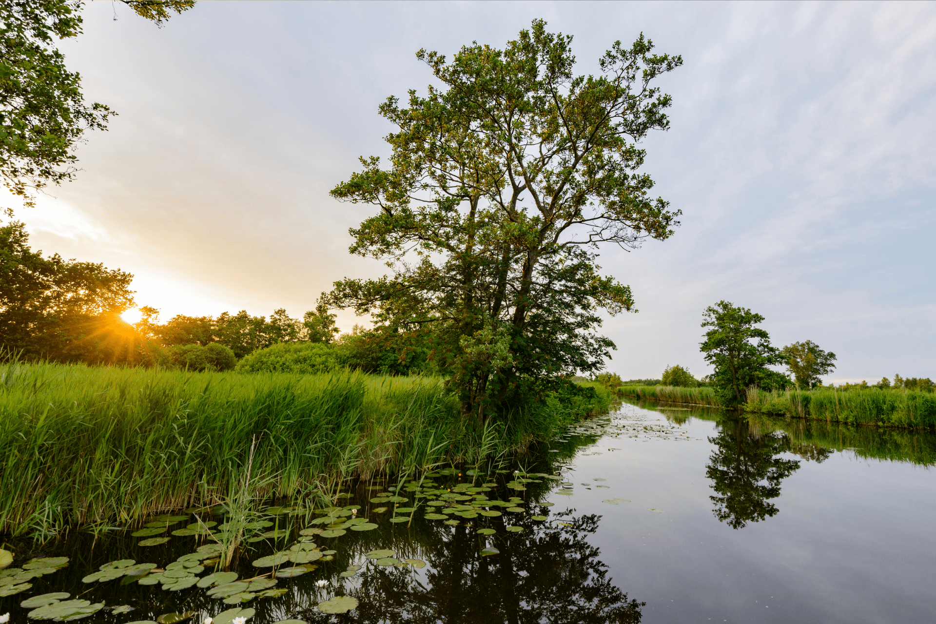 The 5 most beautiful national parks in the Netherlands | EuroParcs