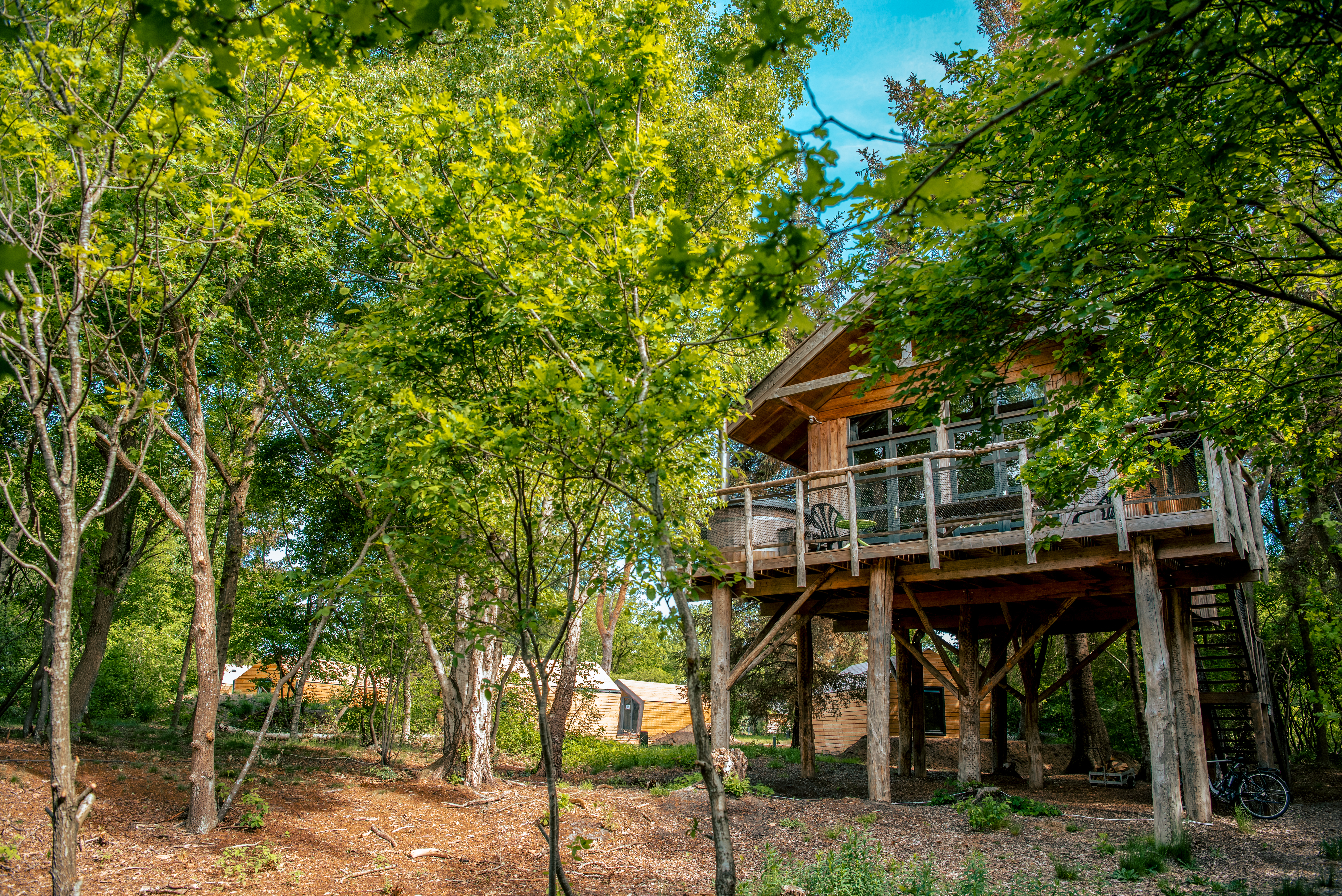 Holiday in a tree house | EuroParcs