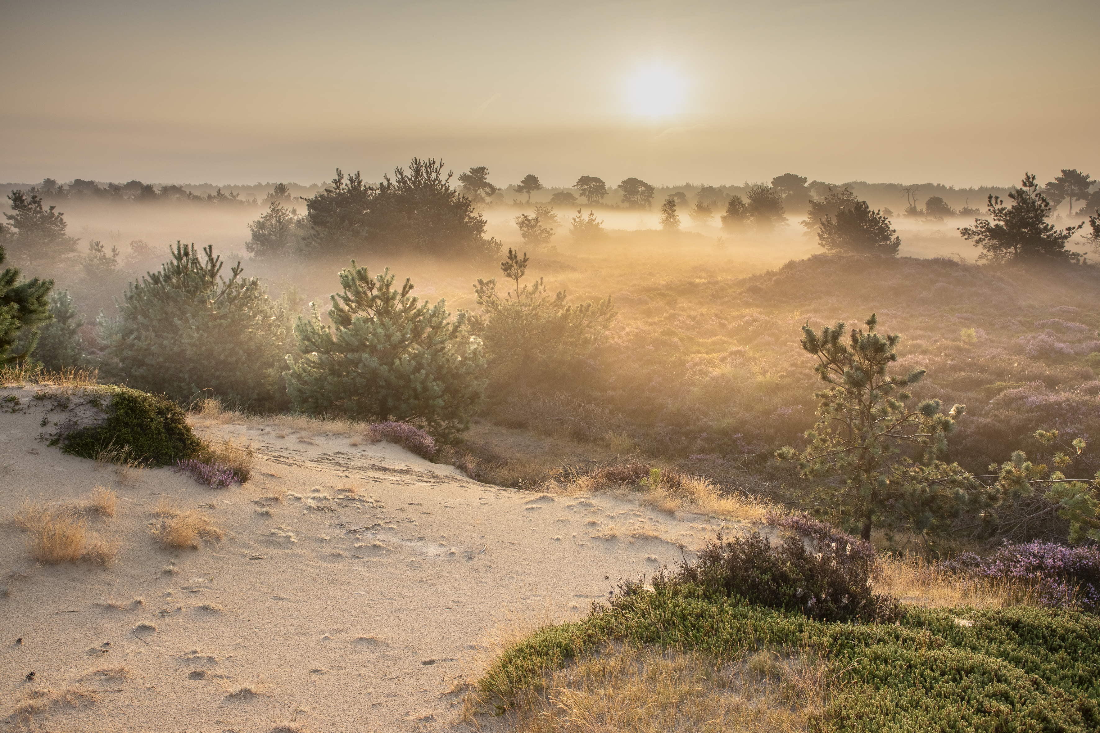 Ferienparks in der Nähe der Nationalparks in Drenthe | EuroParcs