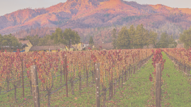 A Guide to Traveling California in the Fall | Trustaff