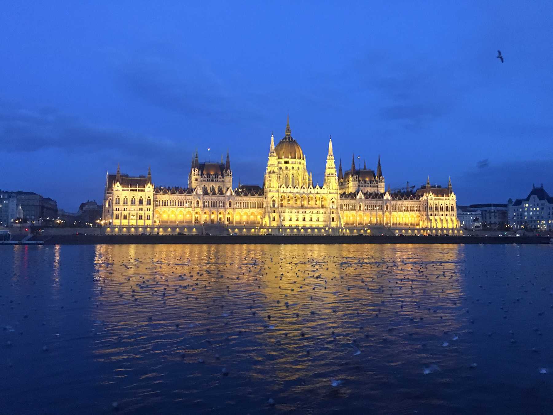 Fun Facts for Budapest - GCN