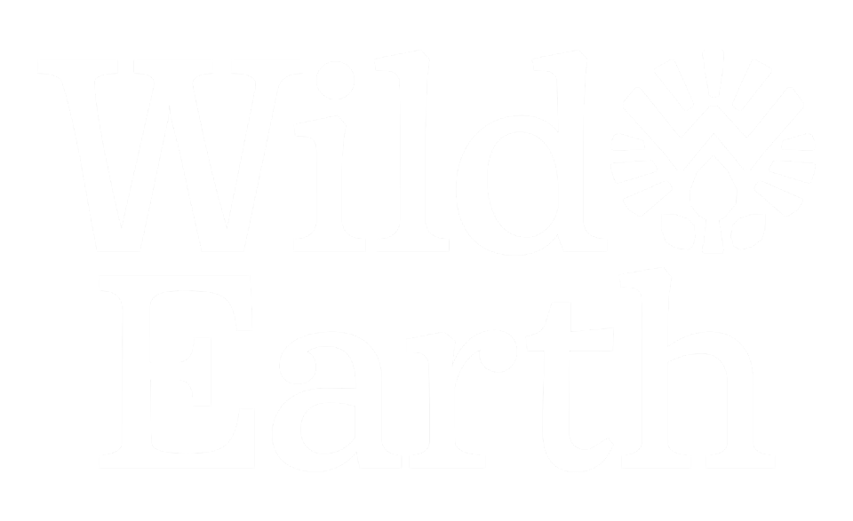 Wild Earth Case Study | Insights | Tatari