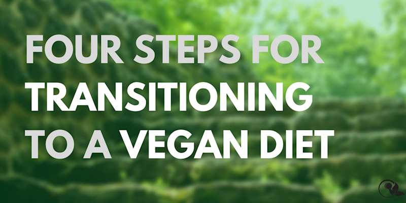 Four steps for transitioning to a vegan diet