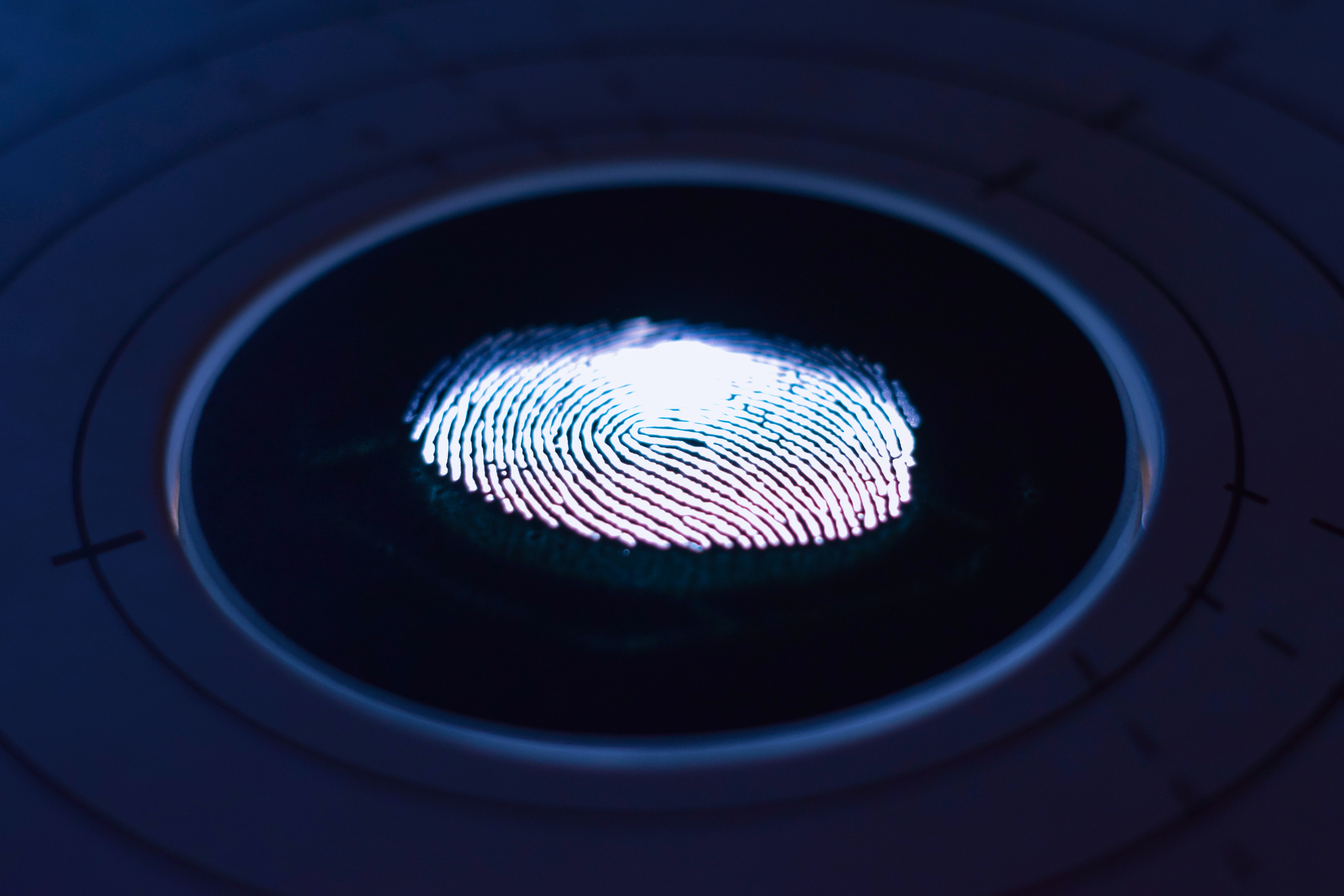 Biometric Evolution: The Role of Fingerprint Authentication In Identity ...