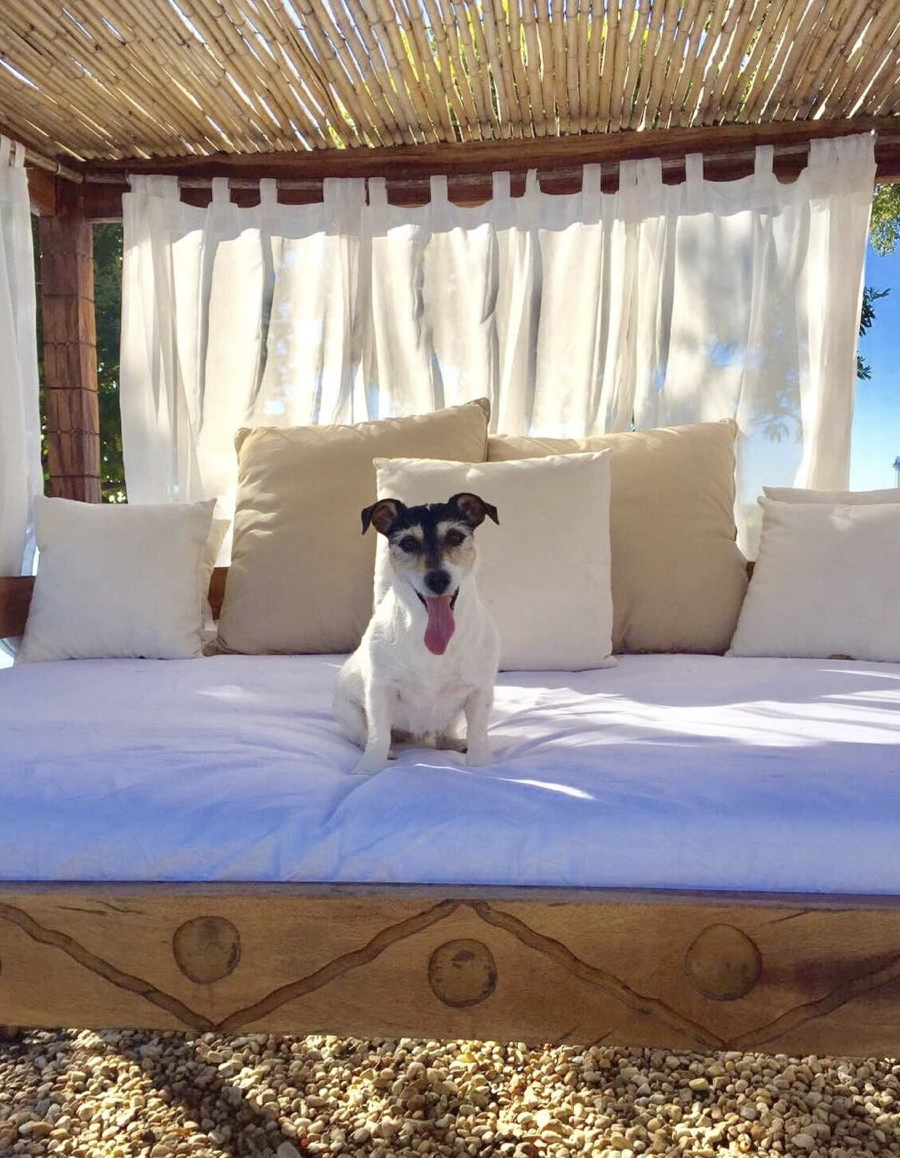 Audrey Versace - Minnie Muse