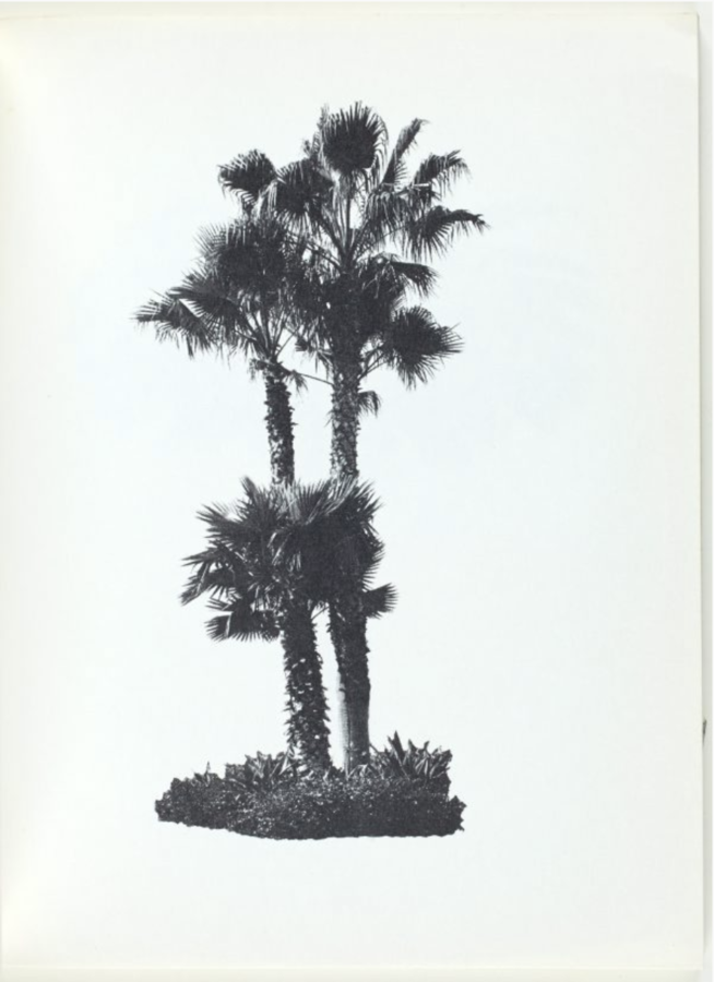 Ed Ruscha's Artist Books - Minnie Muse