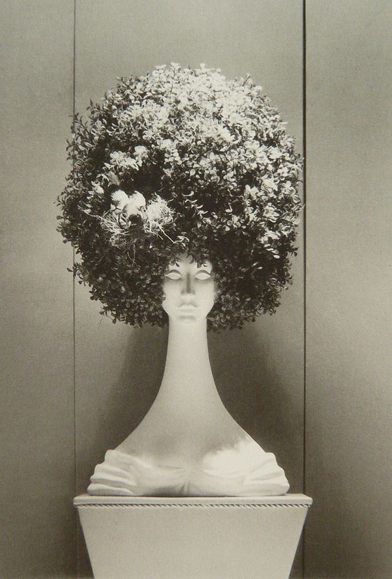 Window Displays - Minnie Muse