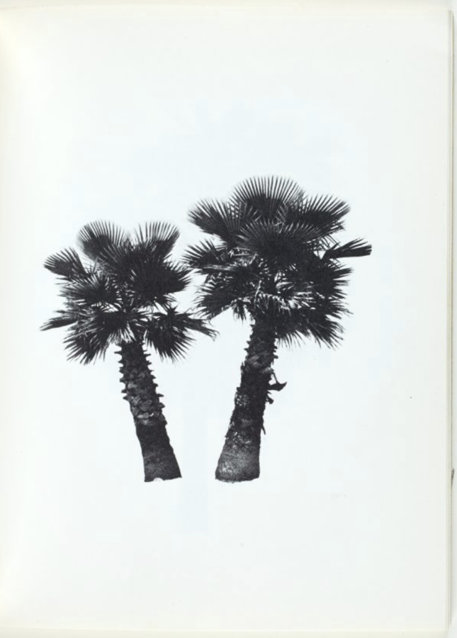 Ed Ruscha's Artist Books - Minnie Muse