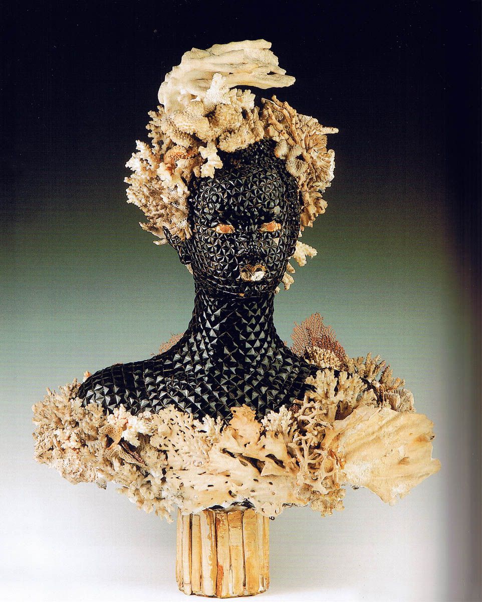 Seashells - Minnie Muse